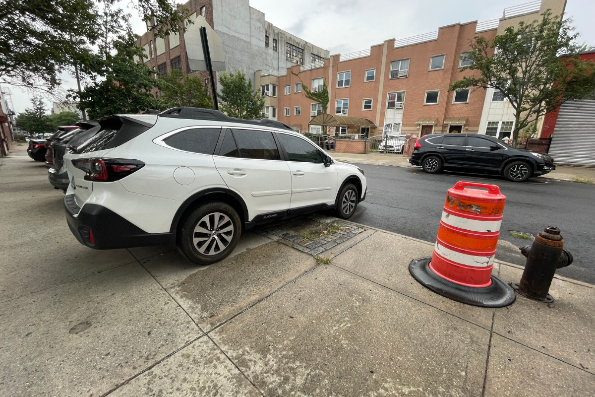 No Shade: Illegally Parked Cop Cars Are Why We Can't Have Nice Trees
