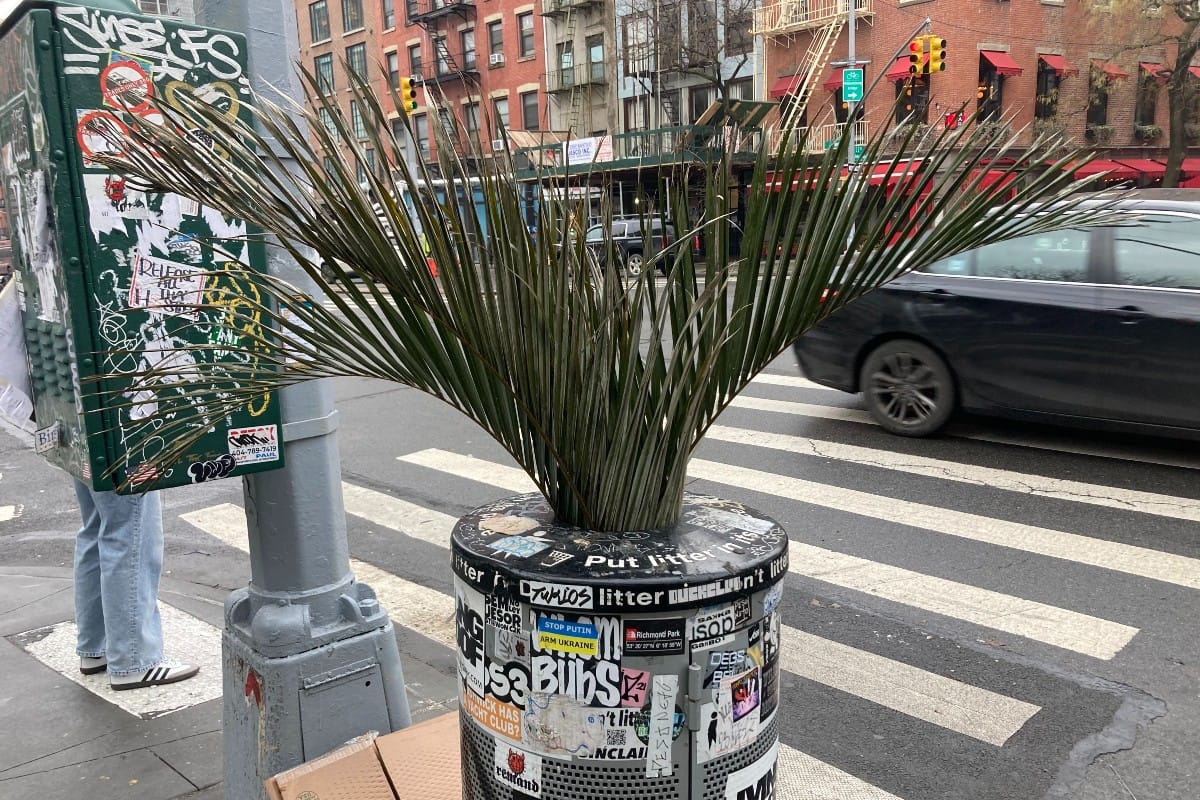 An Immersive Art Piece—That's Not About Gaza—Was 'Too Closely Aligned ...