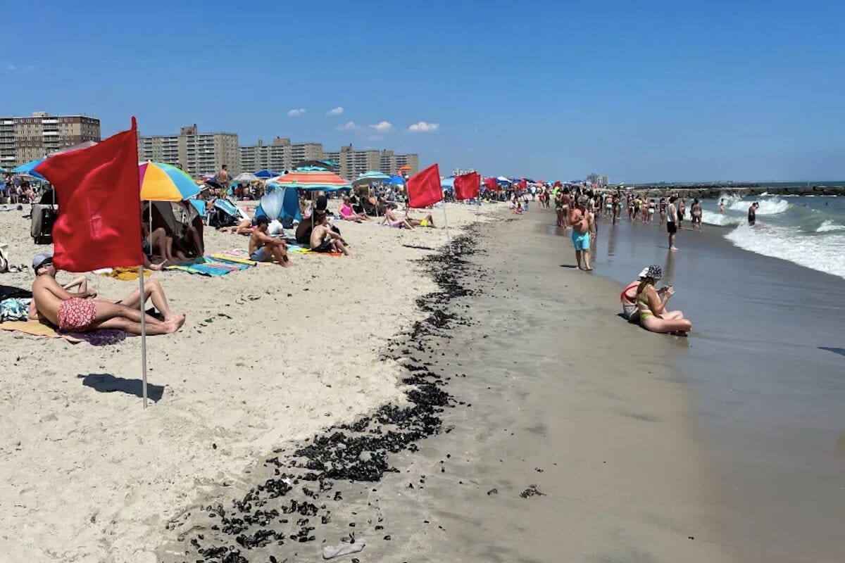 The Fight Over Control of NYC's Lifeguard Union Reaches NY's Highest ...